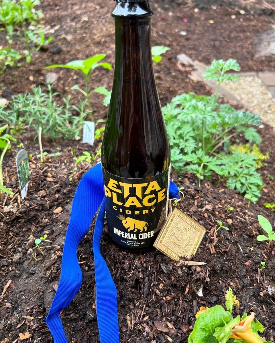 FORBES: The World’s Best Hard Cider—According To The International Beer ...